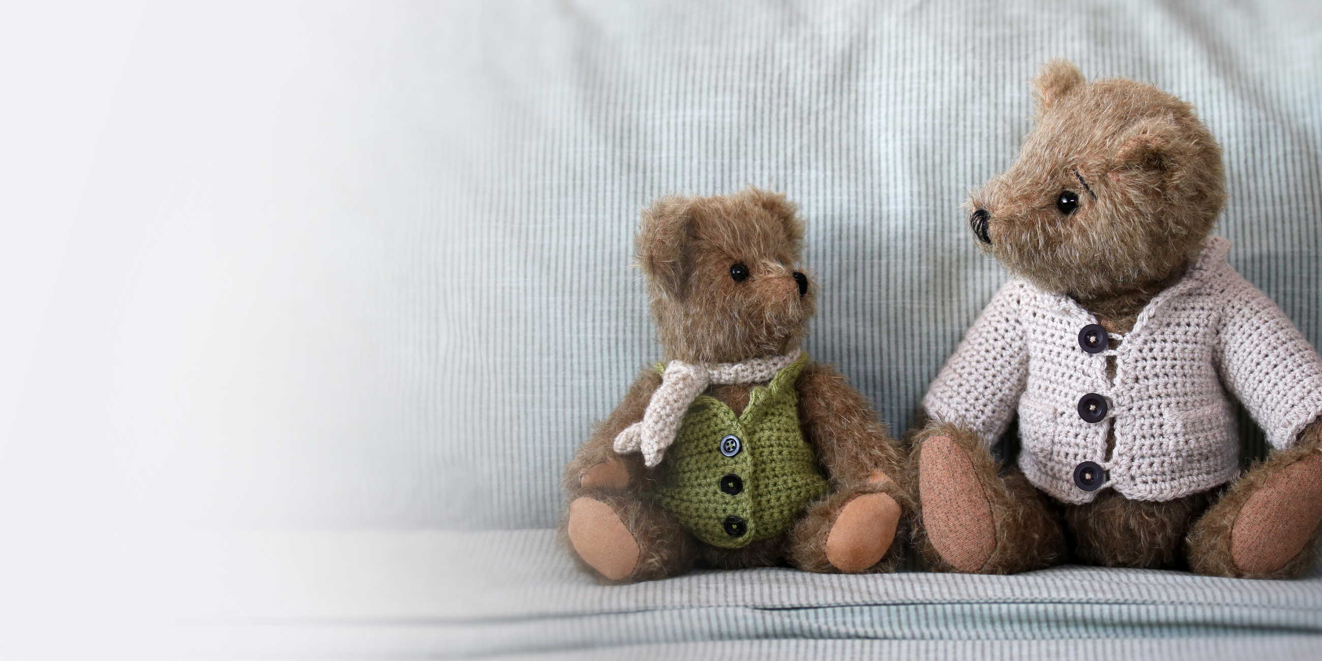Canterbury Bears | Find Your Forever Friend